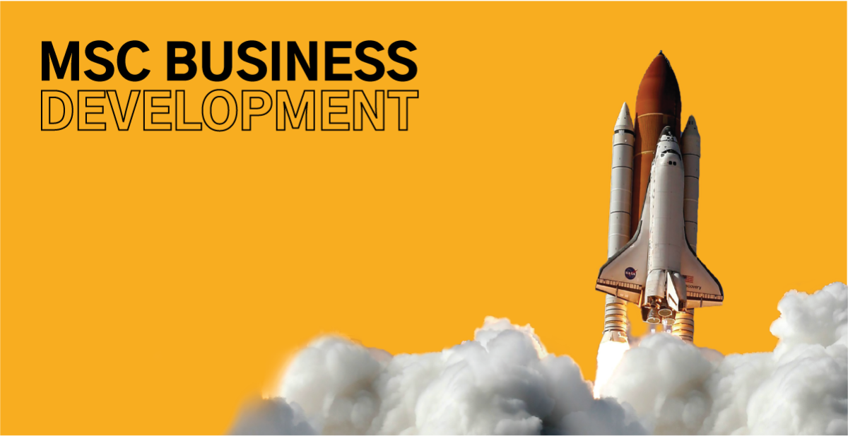 MSc Business Development | University of Pécs - Faculty of Business and ...